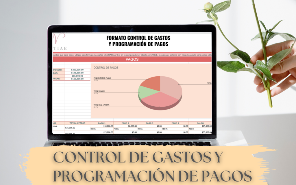 Formato Control de Pagos y Programación de Pagos - Nuptiae.Mx