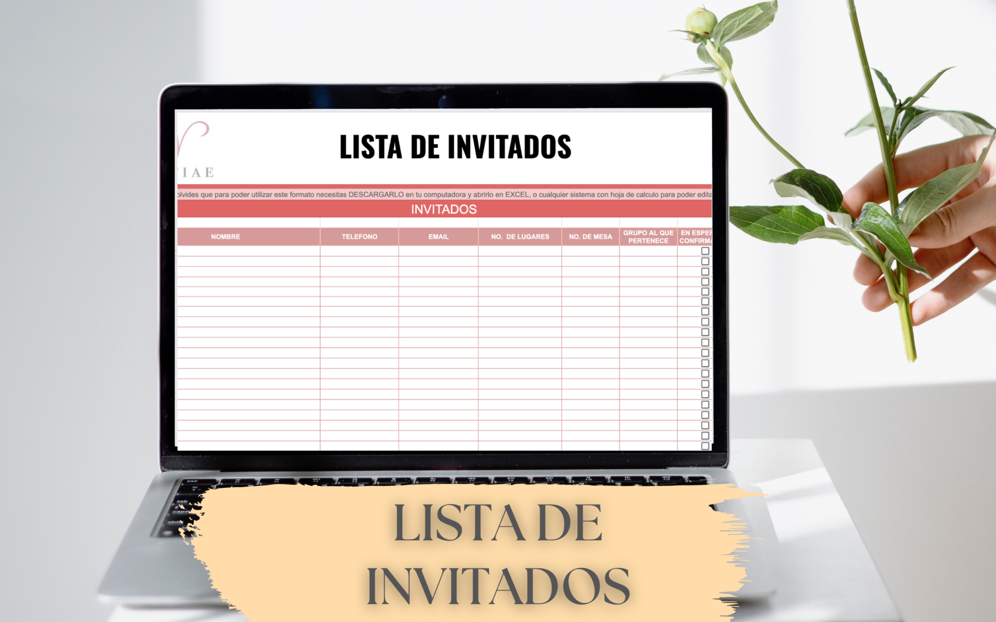 Formato Lista de Invitados - Nuptiae